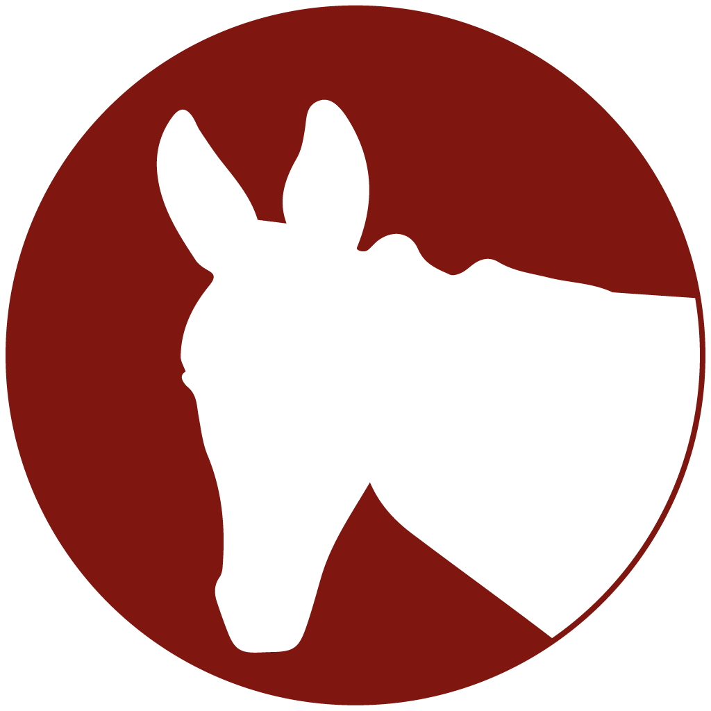 donkey mind - SchreibWegBegleitung | // KREATIV // REISEN